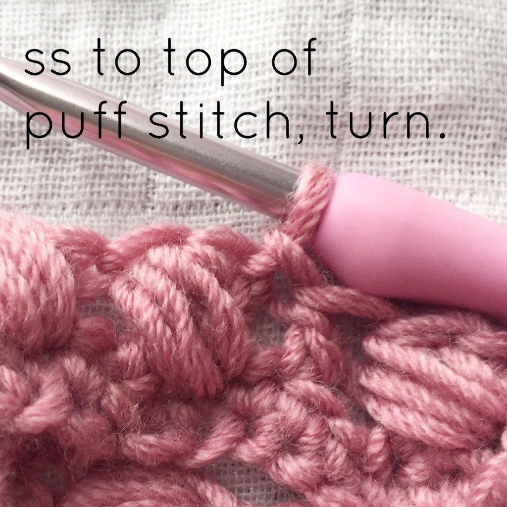 Braided Cowl, Free Crochet Pattern | MissNeriss